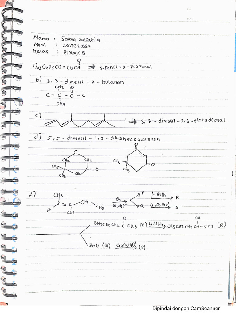 Salma Salsabila - 2017021067 - Post Test Kimor | PDF