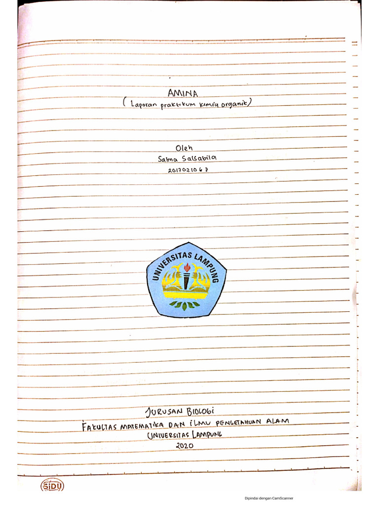 Salma Salsabila 2017021067 Amina | PDF