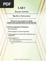 Amoeba Sisters Enzyme Handout | PDF | Enzyme | Catalase