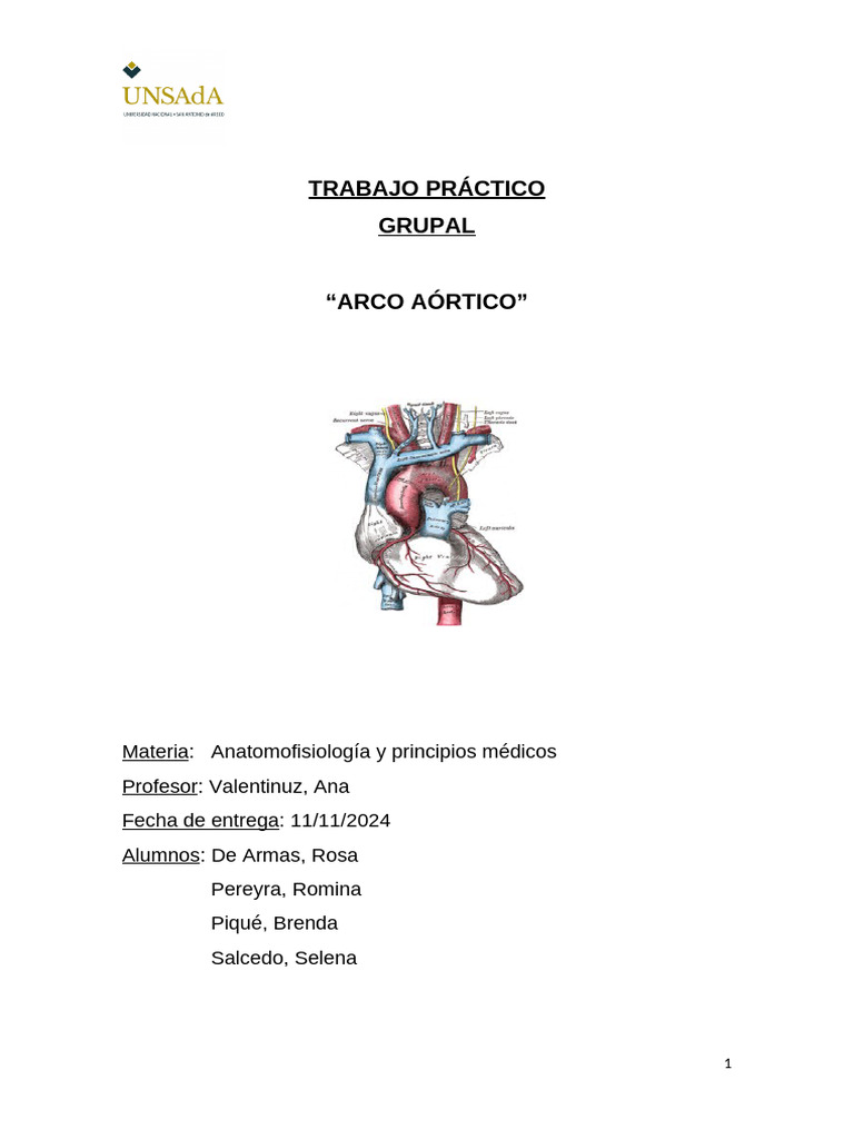 Anatomía del Arco Aórtico | PDF | Aorta | Mano
