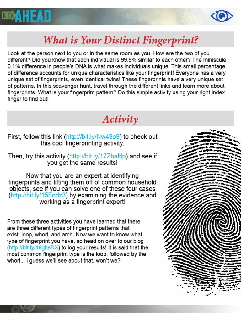 What Is Your Distinct Fingerprint | PDF