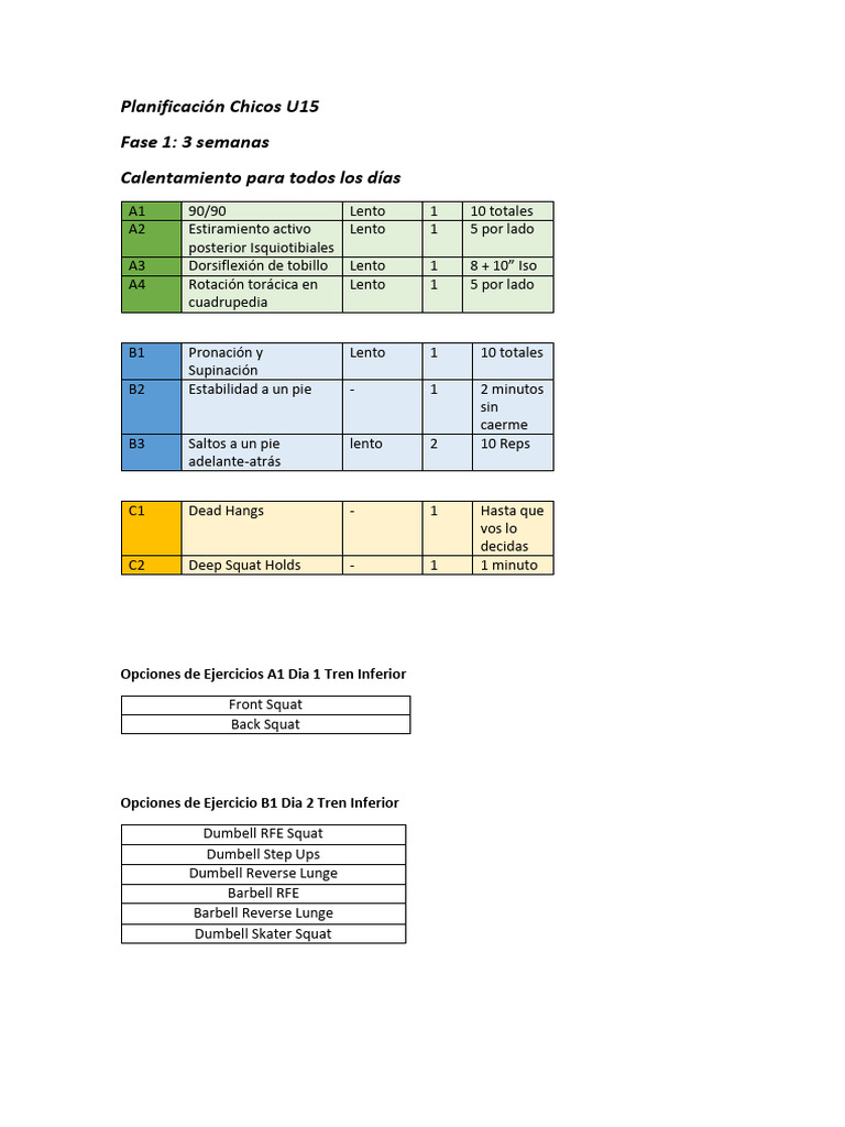 Planificación Chicos U15 | PDF | Extremidades (anatomía) | Entrenamiento de fuerza