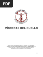 Estructura y funciones de membranas faríngeas | PDF | Oído | Membrana ...