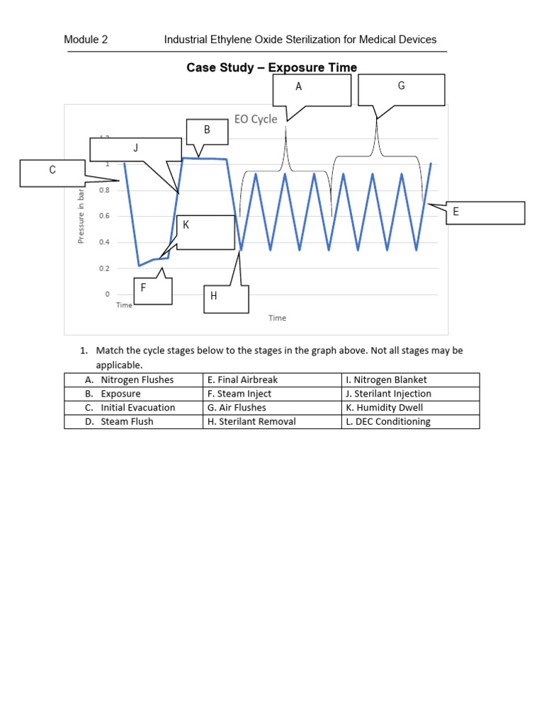 Module 2 - Cycle Phases | PDF