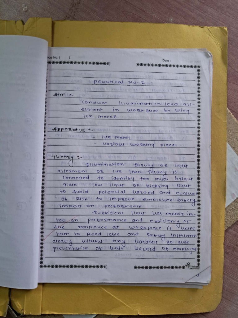IEB Practical File | PDF