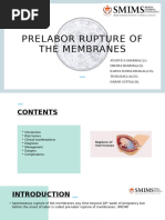 Actim PROM Brochure 022018 | PDF | Sensitivity And Specificity ...