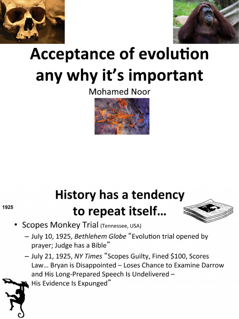 Acceptance of Evolution | PDF