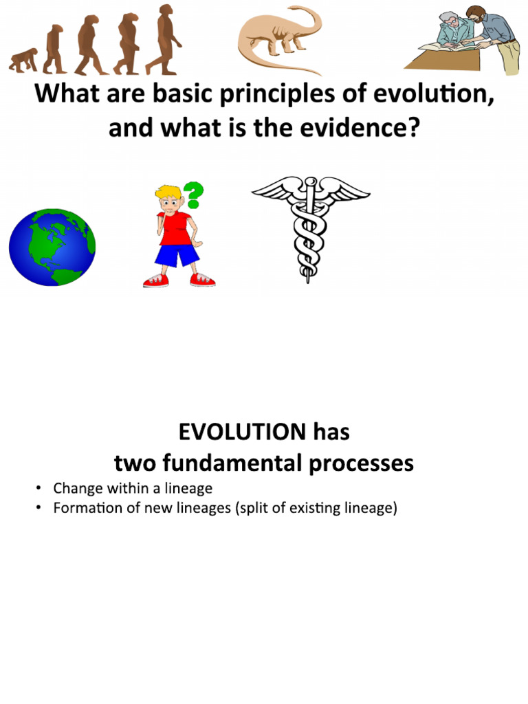 Basic Principles and Evidence For Evolution | PDF