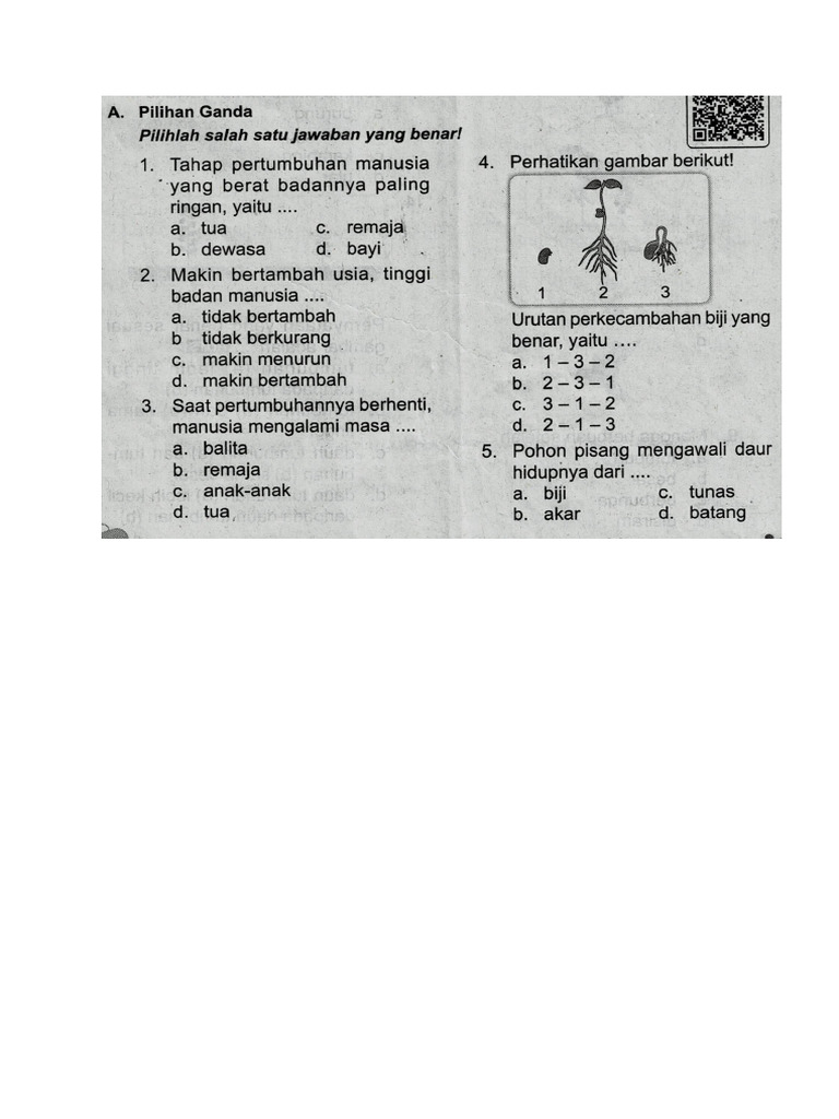 Soal Ulangan Ipas Buk Mai | PDF