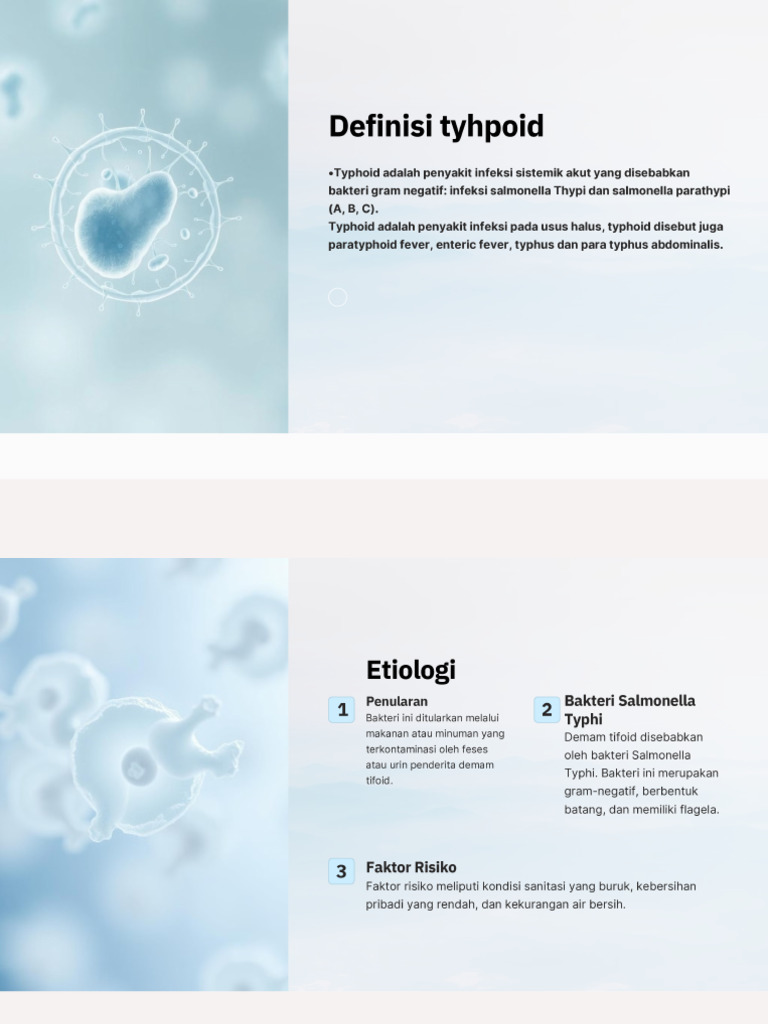 Thypoid-Panduan-Lengkap - PDF 20241007 143300 0000 | PDF