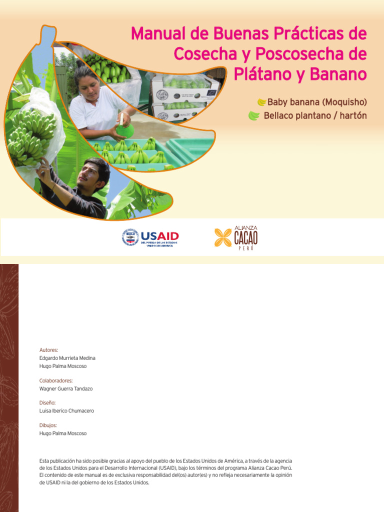 Manual de Cosecha y Poscosecha de Banano | PDF | Plátano | Cosecha