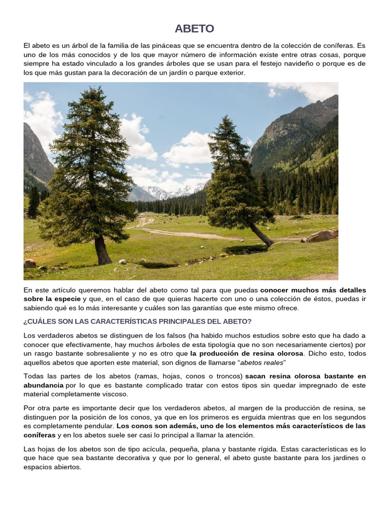ABETO | PDF