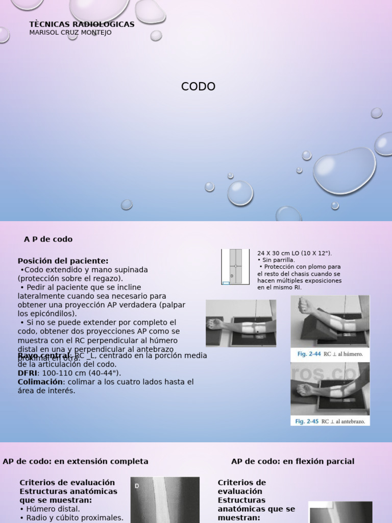 Codo | PDF | Codo | Mano