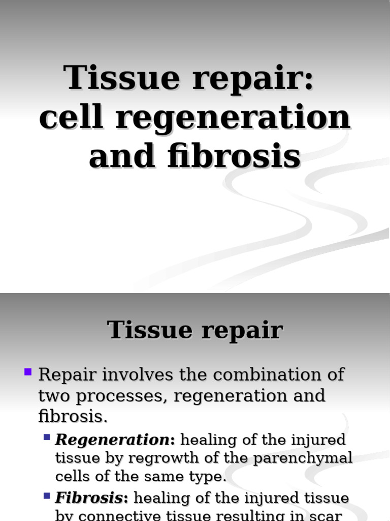 7 Tissue repair (1) | PDF | Extracellular Matrix | Cell Signaling