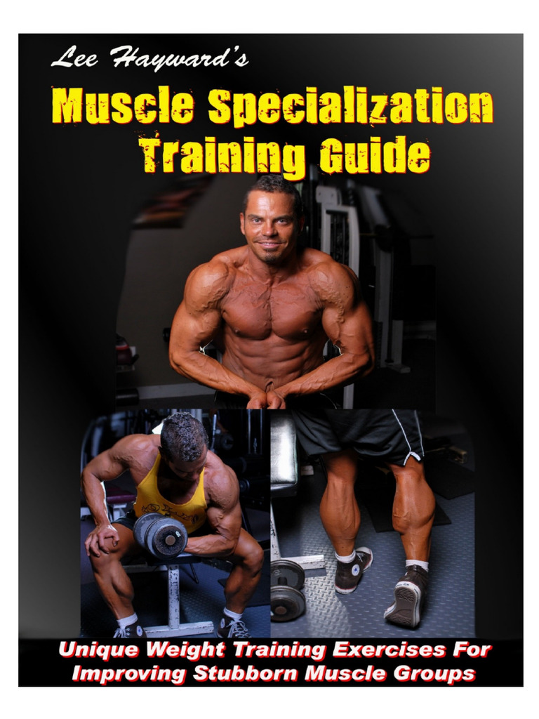 Aesthetics Guide Pdf