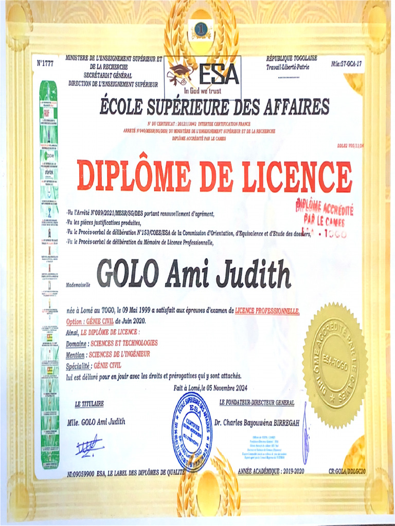Diplôme de Licence | PDF