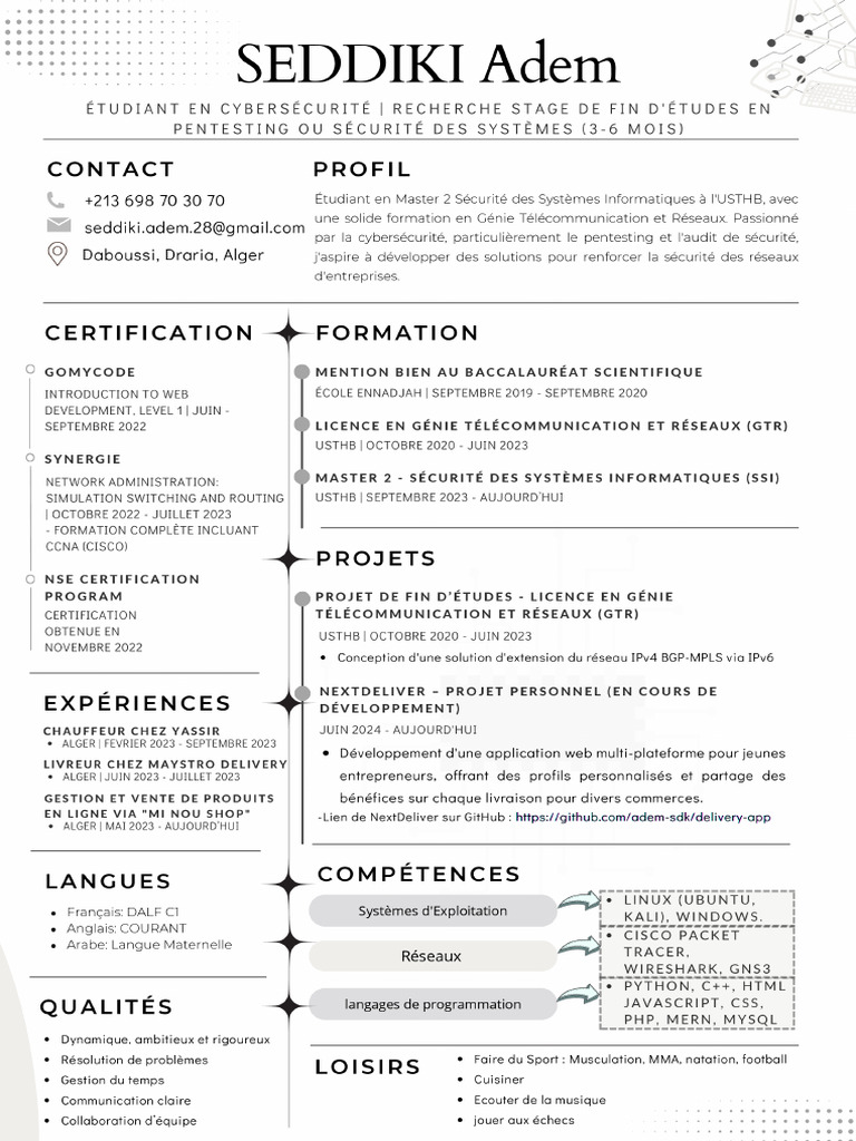 CV SEDDIKI Adem | PDF