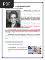 Giger and Davidhizar Model Overview | PDF | Nursing | Social Psychology