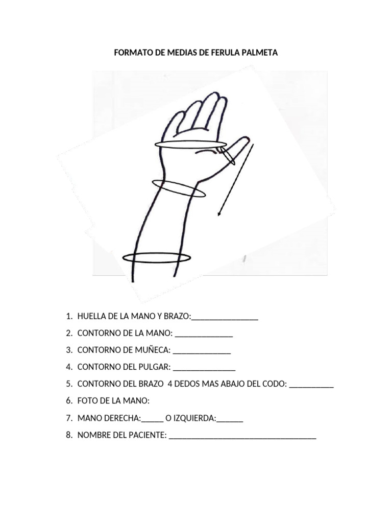 Formato de Medias de Ferula Palmeta | PDF | Finanzas y dinero