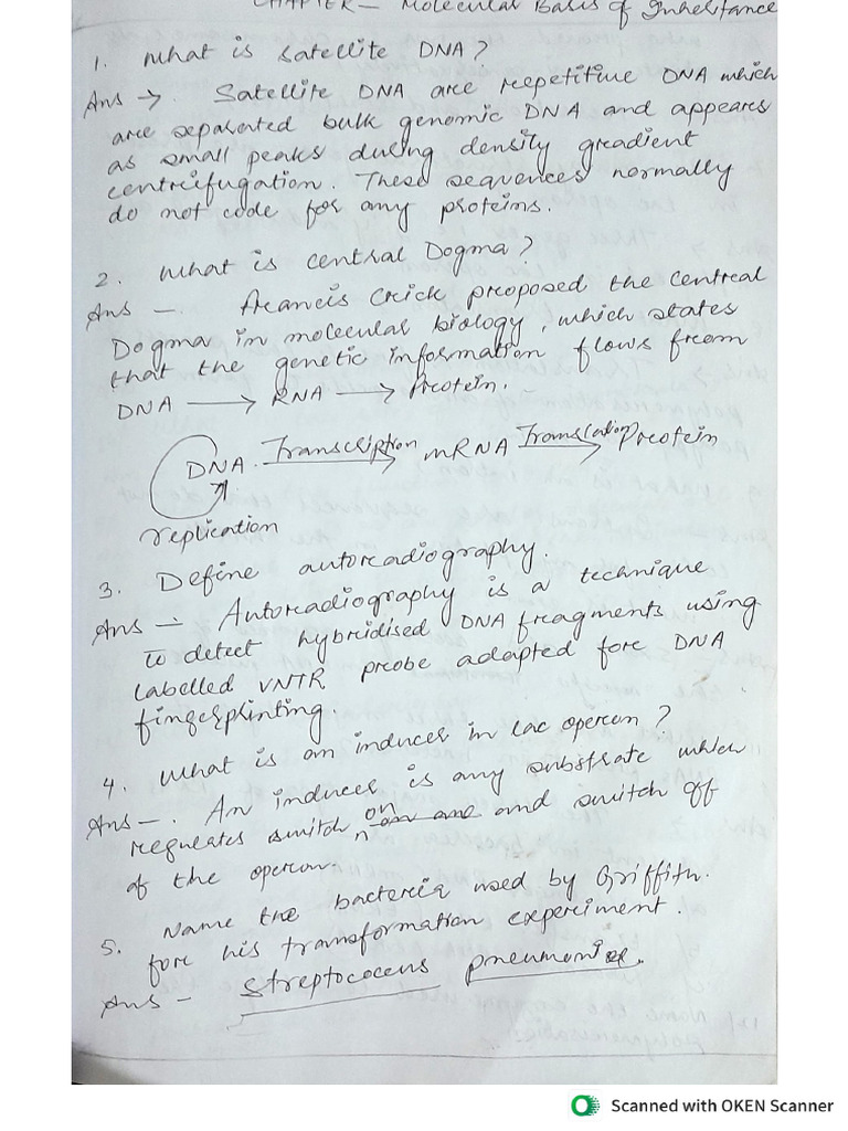 Molecular Basis of Inheritance | PDF
