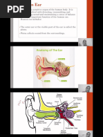 Understanding Echoes and Ultrasound | PDF | Ultrasound | Sound
