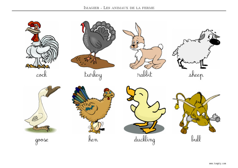 Imagier Animaux Ferme Couleur Cursive en 2 | PDF