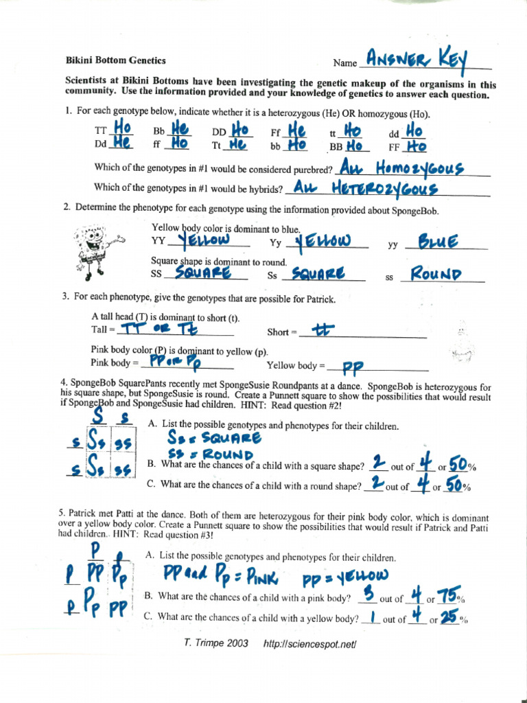 Bikini Bottom Genetics - Key | PDF