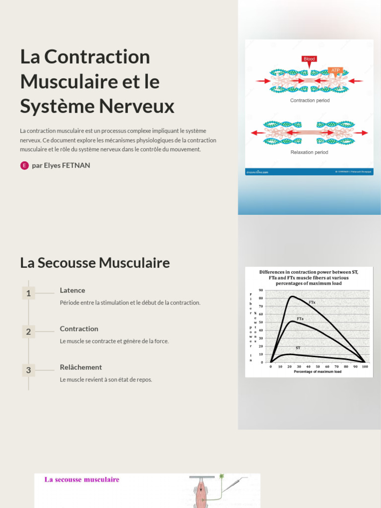 Mécanismes de la Contraction Musculaire | PDF | Contraction du muscle ...