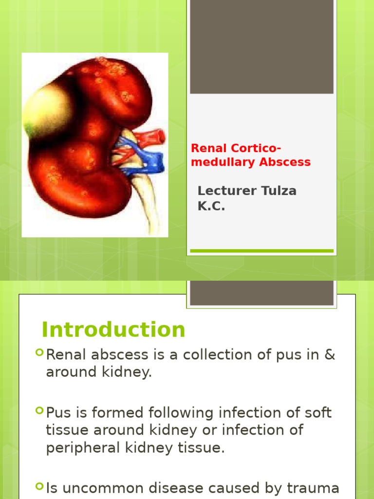 Renal abscess | PDF | Kidney | Medical Specialties