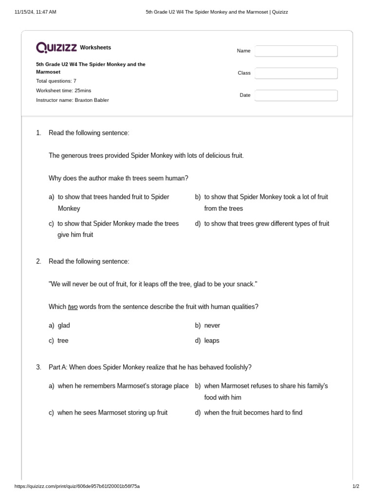 Spider Monkey and Marmoset Worksheet | PDF