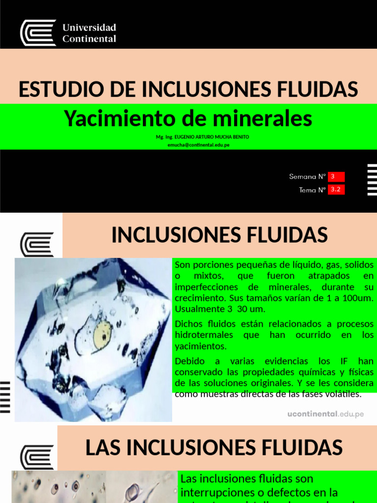 Estudio de Inclusiones Fluidas | PDF | Minerales | Líquidos