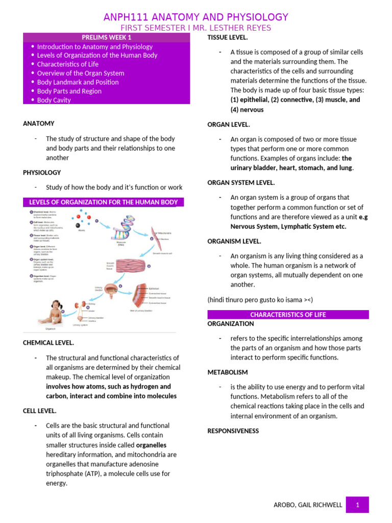 ANPH 111 | PDF | Citric Acid Cycle | Chemistry