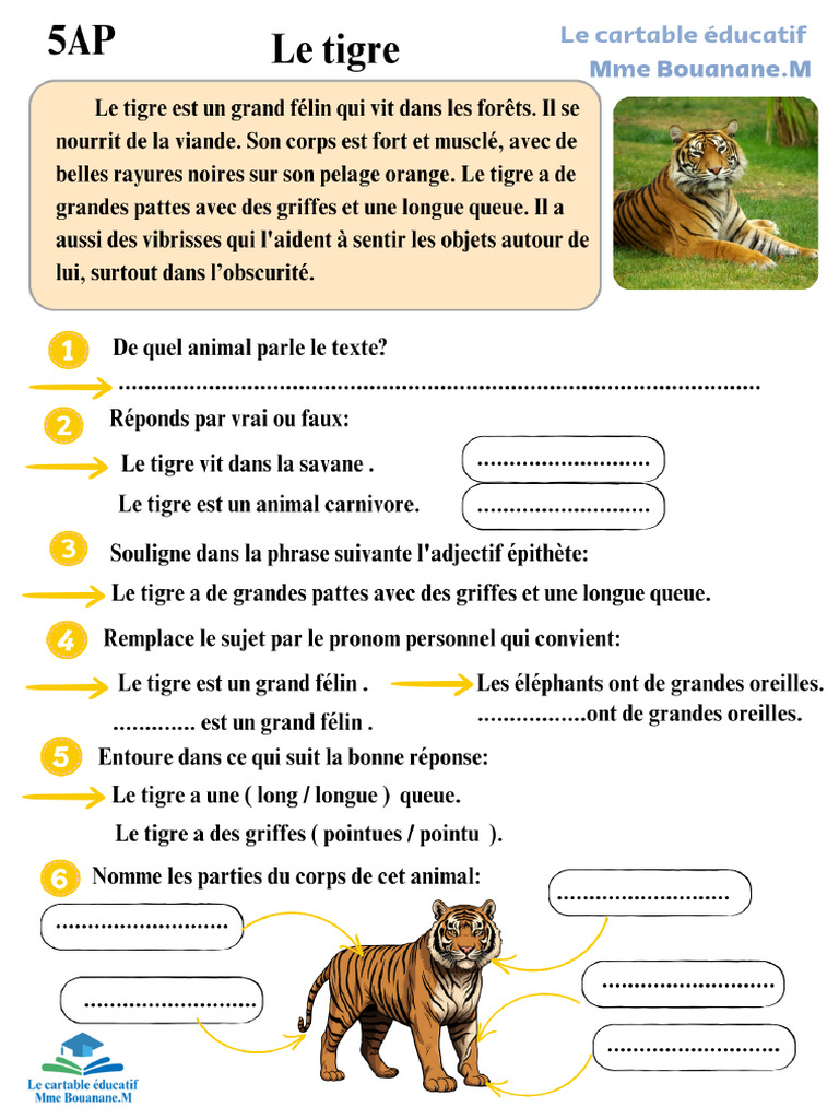 Le Tigre | PDF