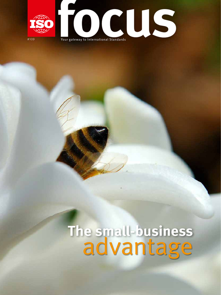 ISO Focus+ - 201503 | PDF | Small And Medium Sized Enterprises | Social ...