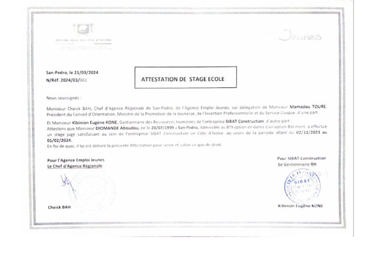 ACE Scanner - 2024 - 11 - 13 | PDF