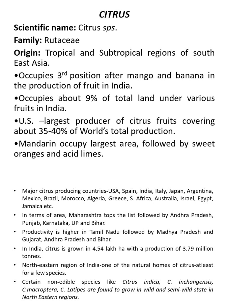 4 Citrus | PDF | Citrus | Orange (Fruit)