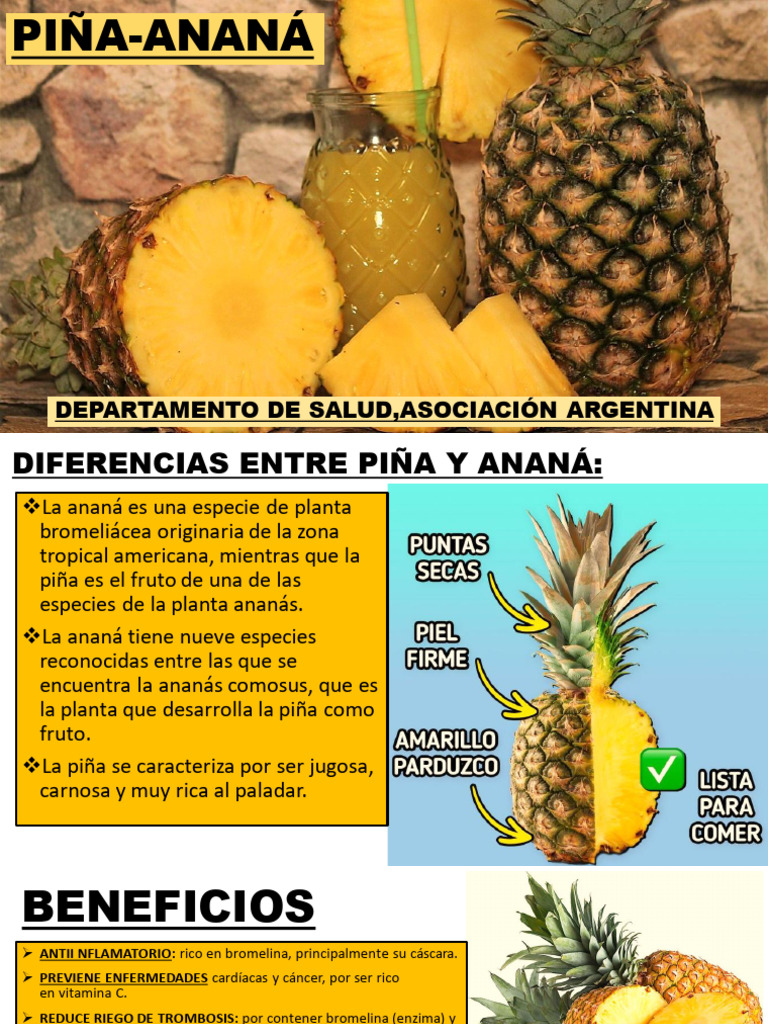 Diferencias entre Piña y Ananá | PDF | Piña | Vitamina C