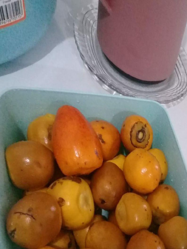 Digitalizado 20241114-1111 | PDF