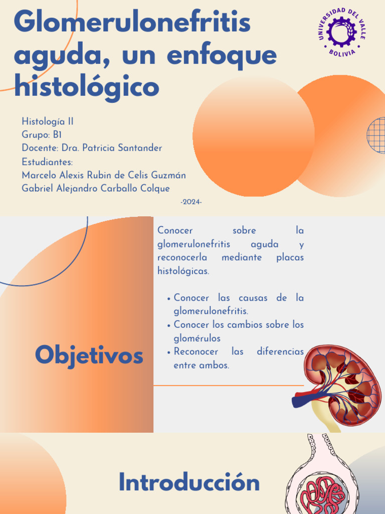 Glomerulonefritis Aguda: Enfoque Histológico | PDF | Especialidades Medicas | Enfermedades y ...