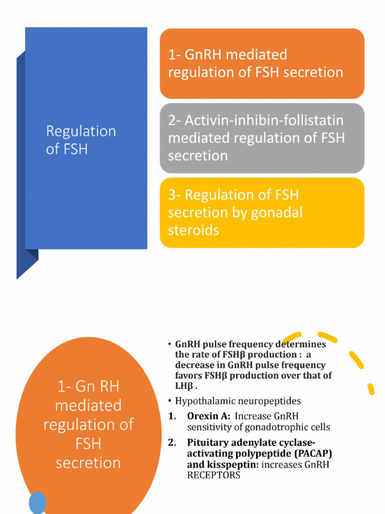 Female Lec2 2024 | PDF