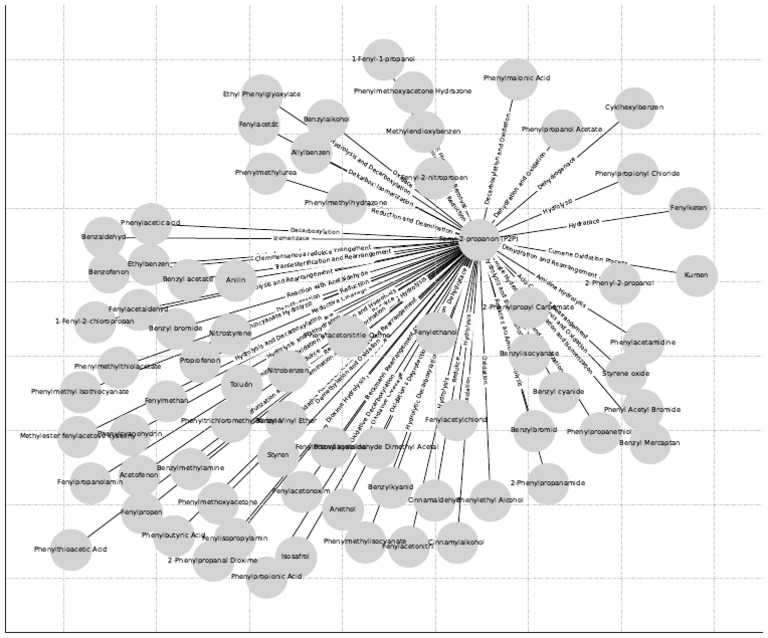 Complete P2P Pathways Diagram Experimental v2 | PDF | Chemical ...