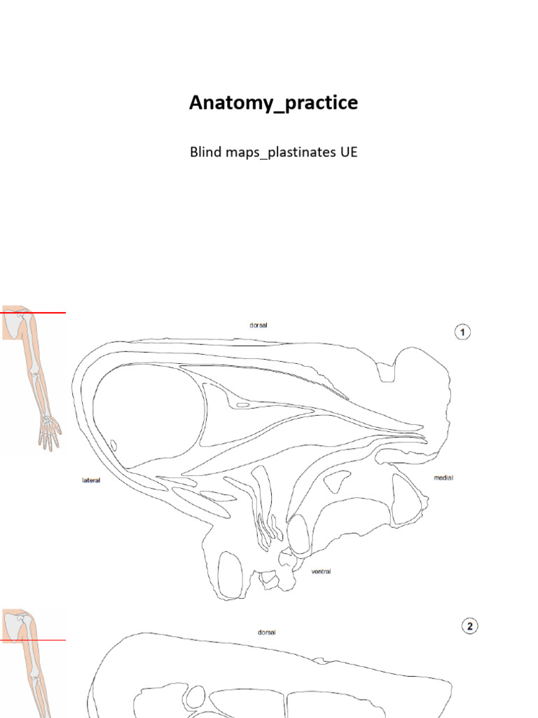 Blind Maps Plastinates UE | PDF