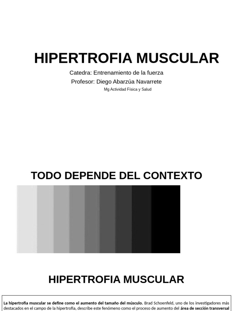 Clase de Hipertrofia Muscular | PDF | Músculo | Entrenamiento de fuerza
