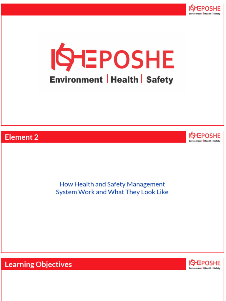 Ig1 - E2 | PDF | Occupational Safety And Health | Policy