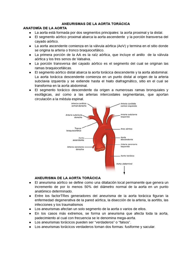 Aneurismas de La Aorta Torácica | PDF | Aorta | Medicina CLINICA