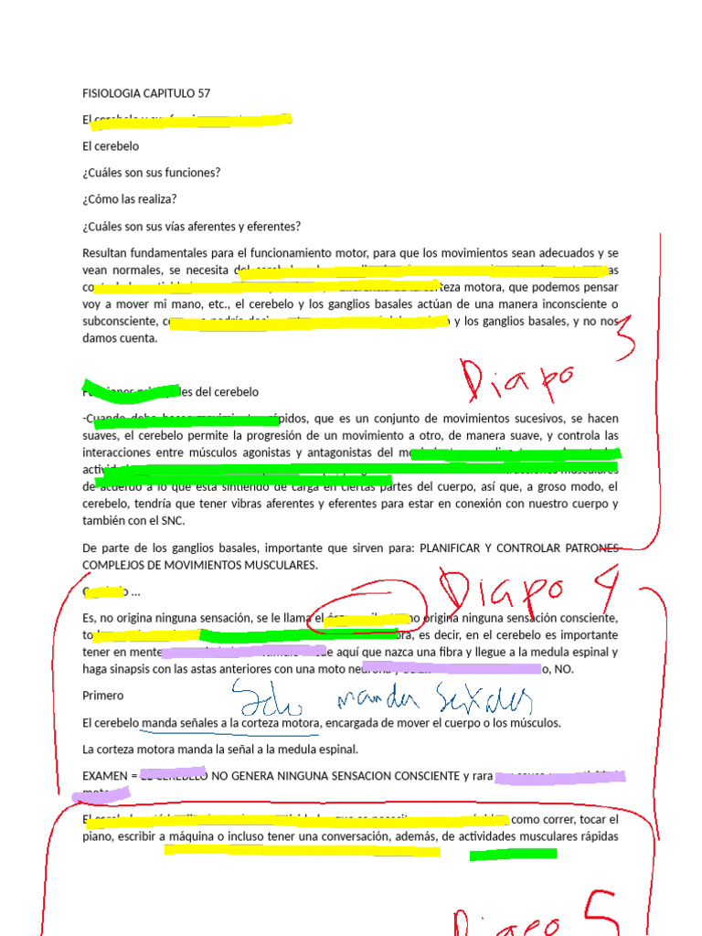 Fisiologia Capitulo 57 | PDF | Cerebelo | Cerebro