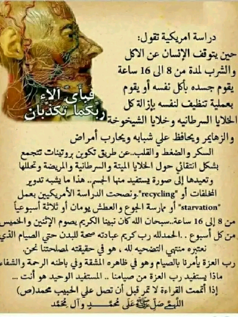 PDF Phoenix 20241116 001107 PDF | PDF