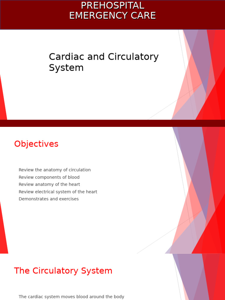 6-Cardiac and Circulatory System Chap 7 | PDF | Heart | Vein