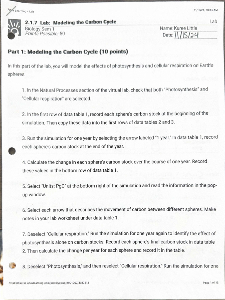 2.1.7 Lab Modeling The Carbon Cycle 2.15.56 PM | PDF