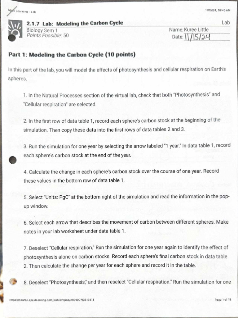 2.1.7 Lab Modeling The Carbon Cycle | PDF